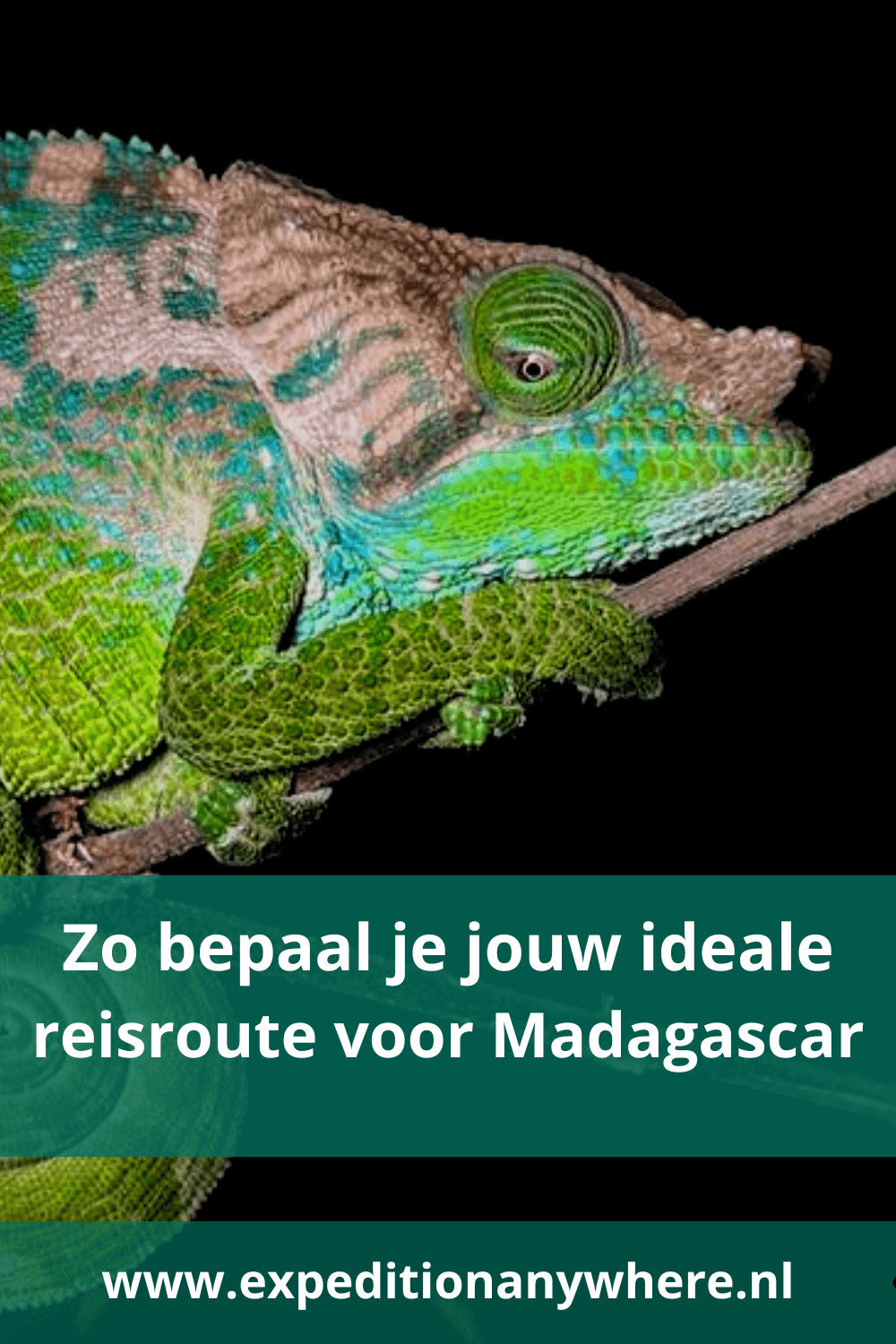 Keuzehulp voor je Madagascar rondreis: zo bepaal je jouw route